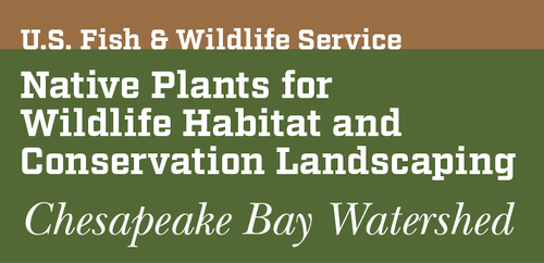 Plants & Resources — Local Ecotype Richmond Natives