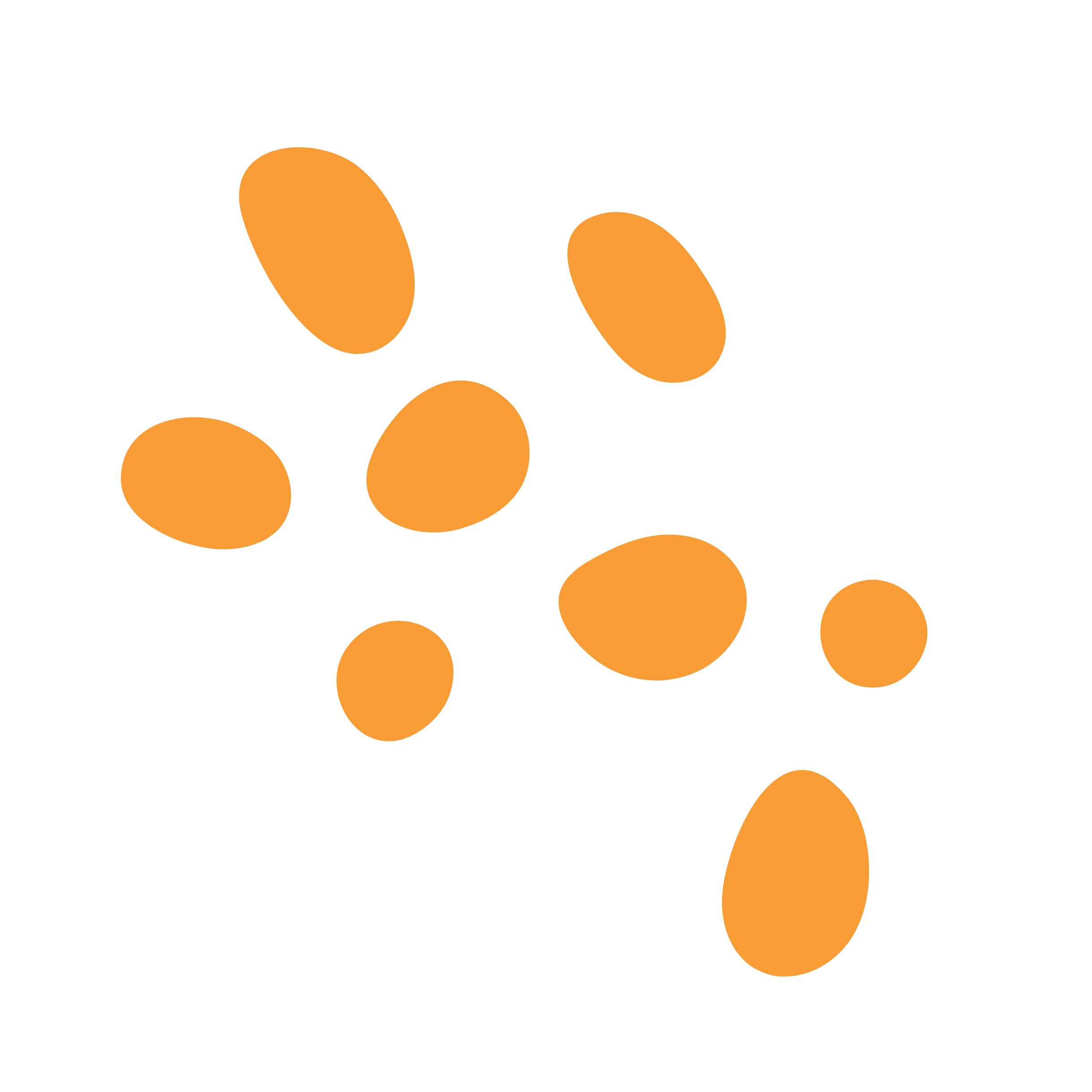 About Discover Play Training Institute | Our Mission & Team — Discover ...