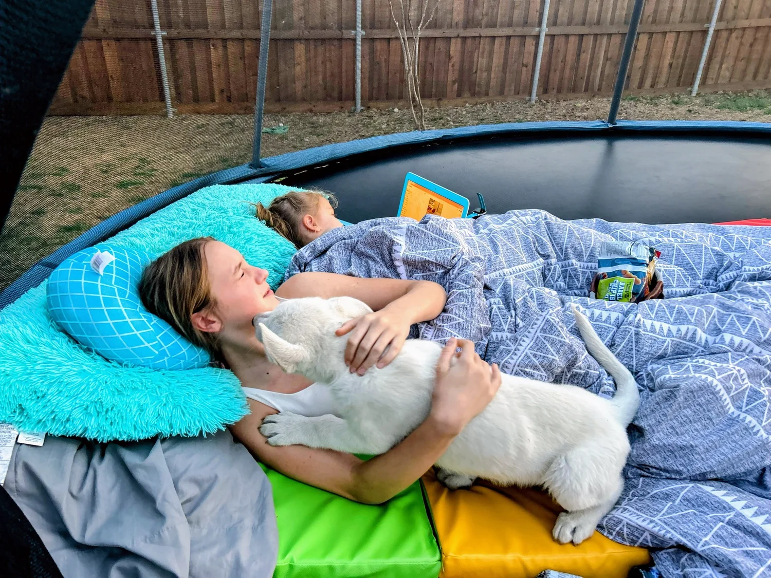 Patriot Pups | Find Your Perfect Pup Today