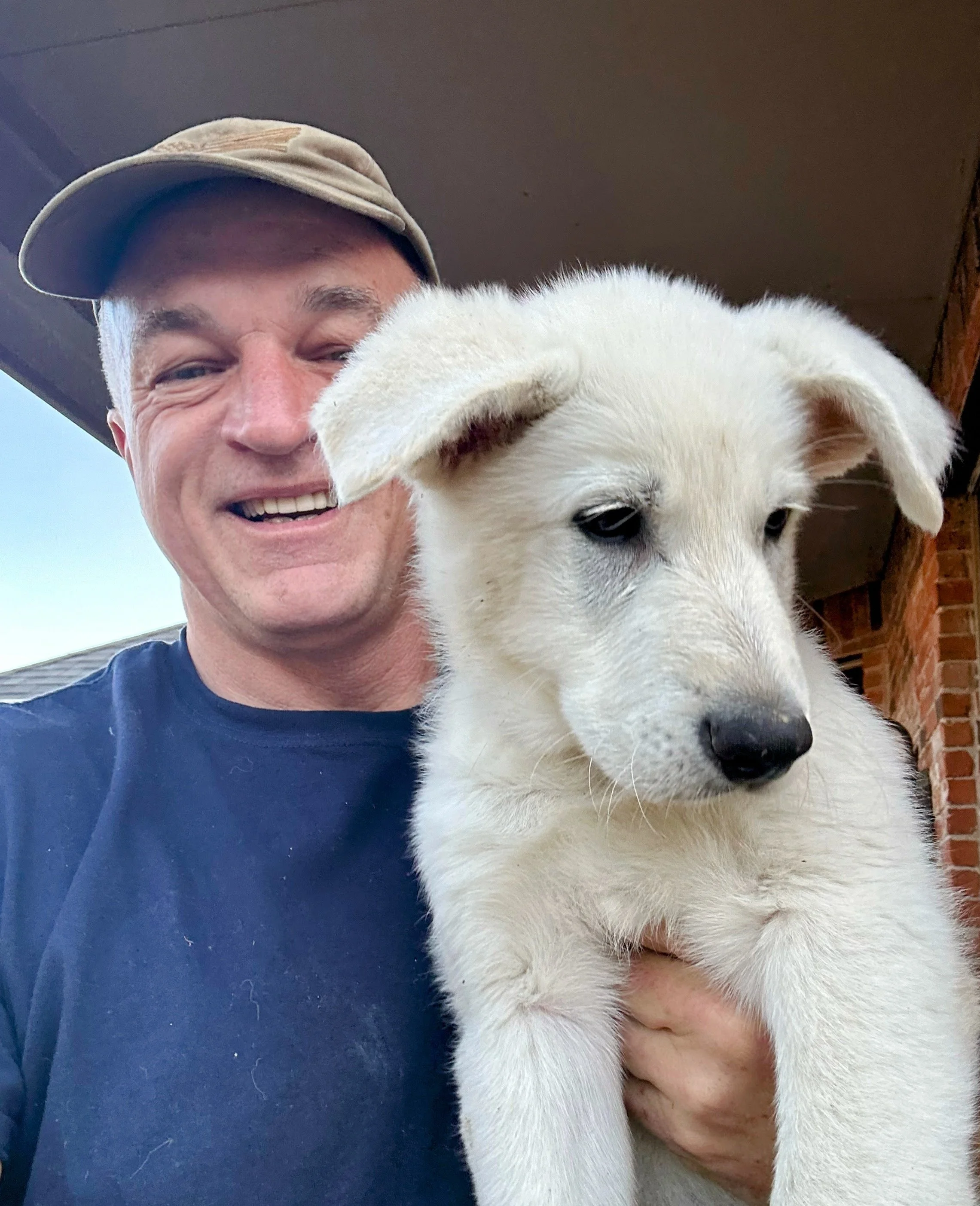 Patriot Pups | Find Your Perfect Pup Today