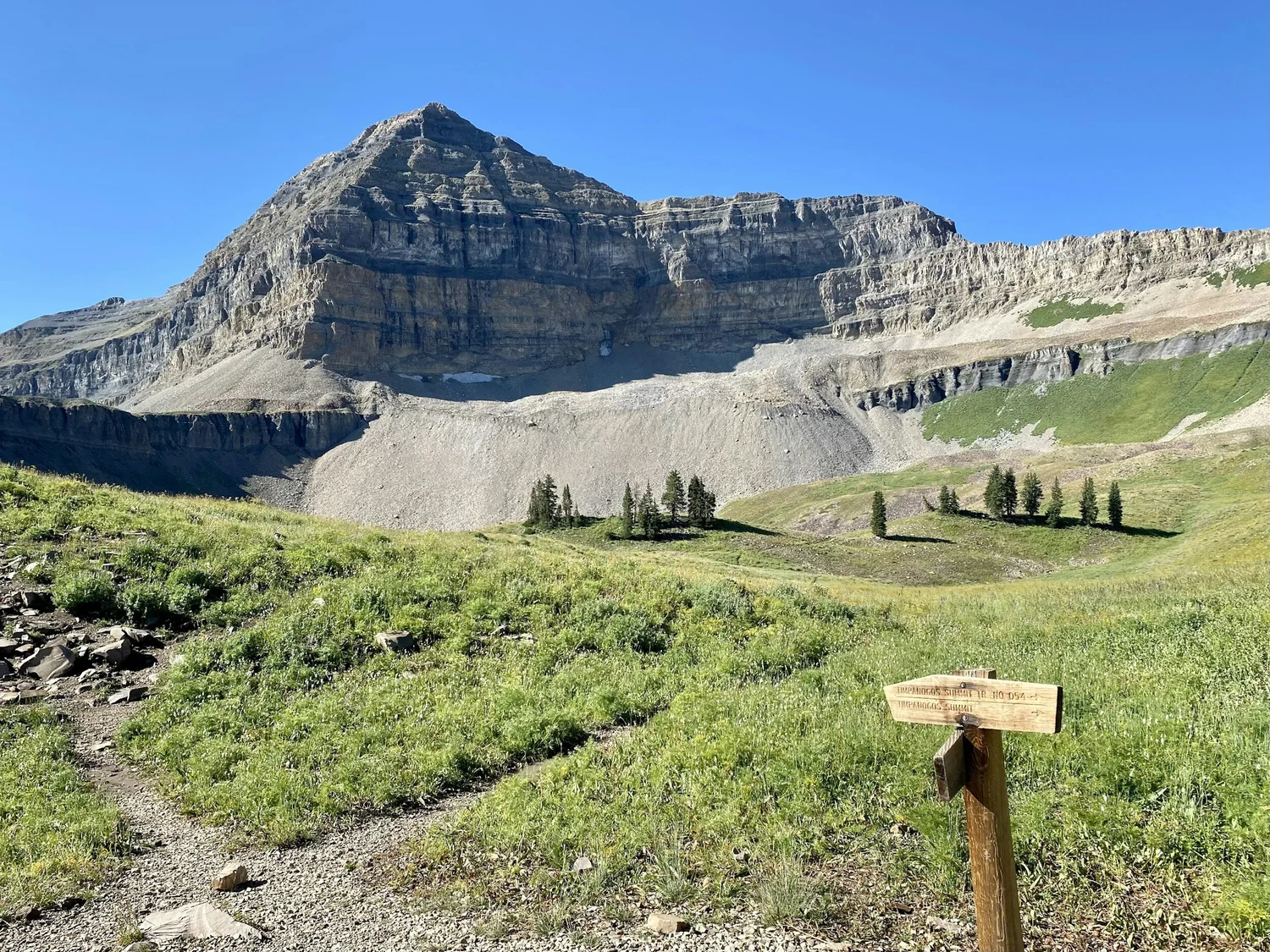 Videos | Explore & Learn Videos — Technicide