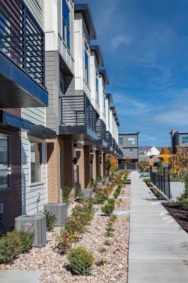 Vaseo — Lotus Company