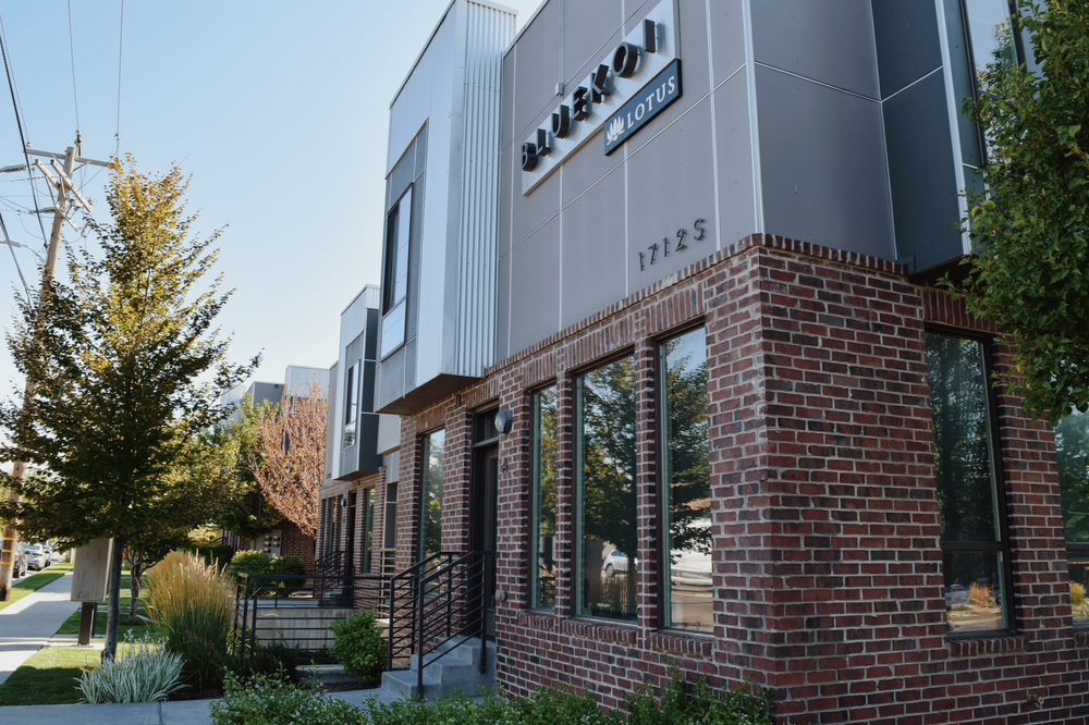 Lotus Development — Lotus Company