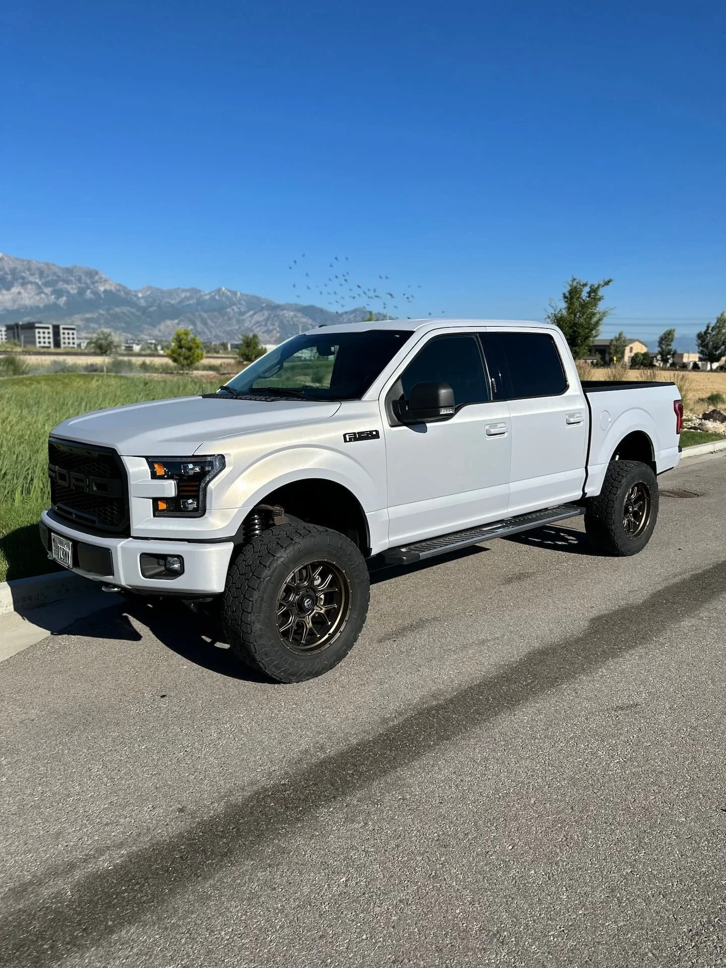 Top Rated AUTO CUSTOMS SHOP IN AMERICAN FORK, UT