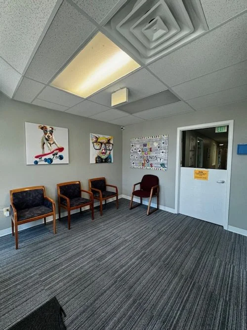 About — Learning and Therapy Corner, LLC