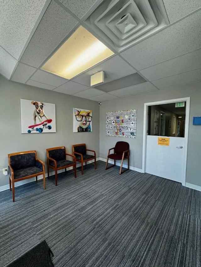 About — Learning and Therapy Corner, LLC