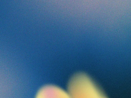 Clin-Card — BLISS Study