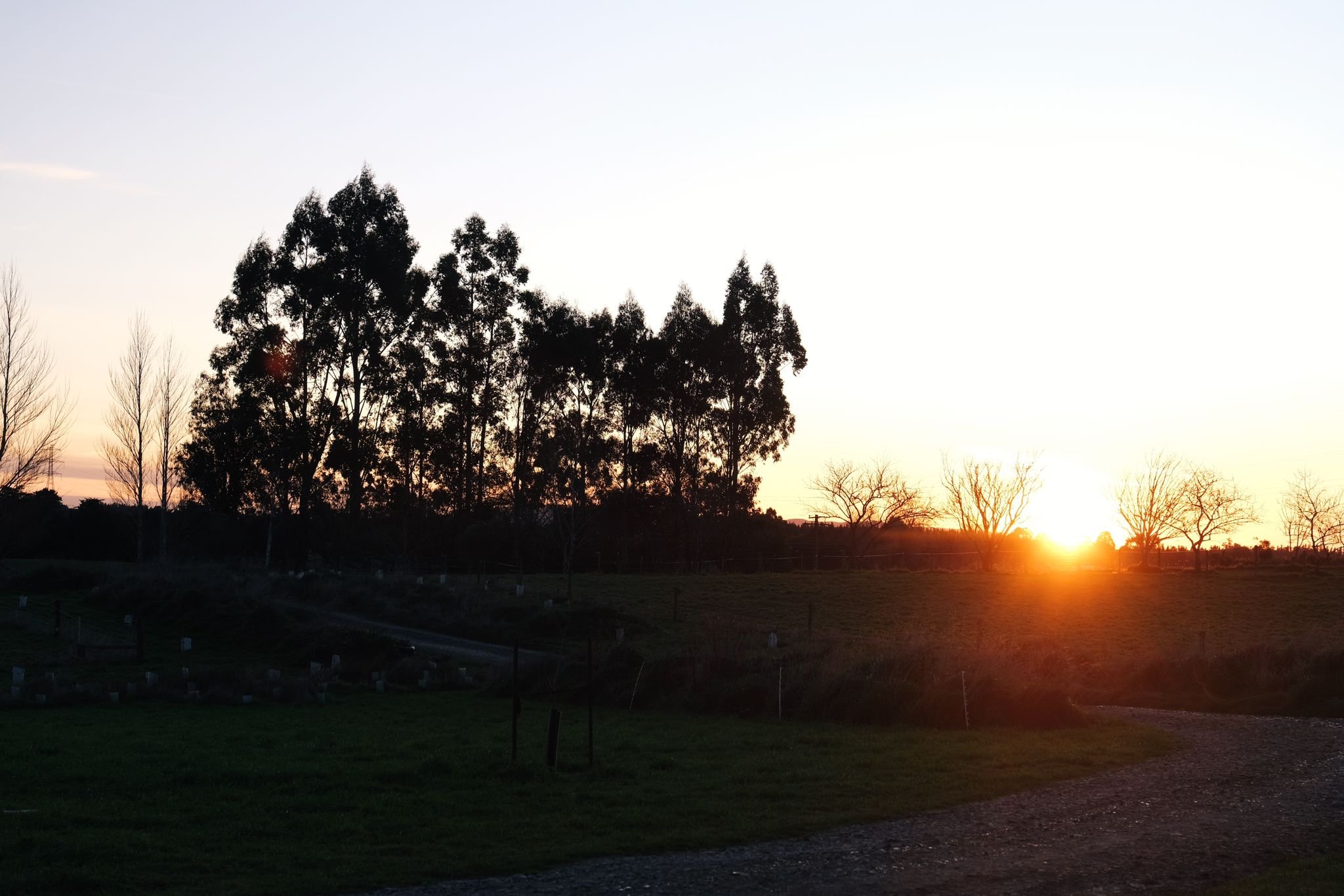 About me — Caroline Curtis Psychology
