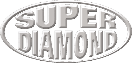 Super Diamond - The Neil Diamond Tribute — Swan Entertainment - Booking ...