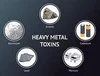 How Heavy Metals Disrupt Cellular Metabolism — Haas Wellness Center