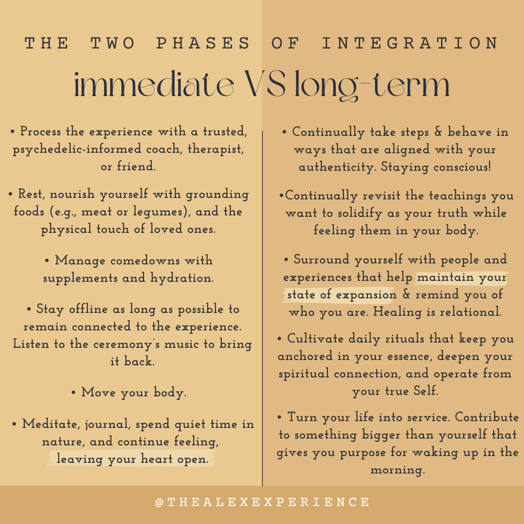 Immediate vs long-term integration — The Alex Experience