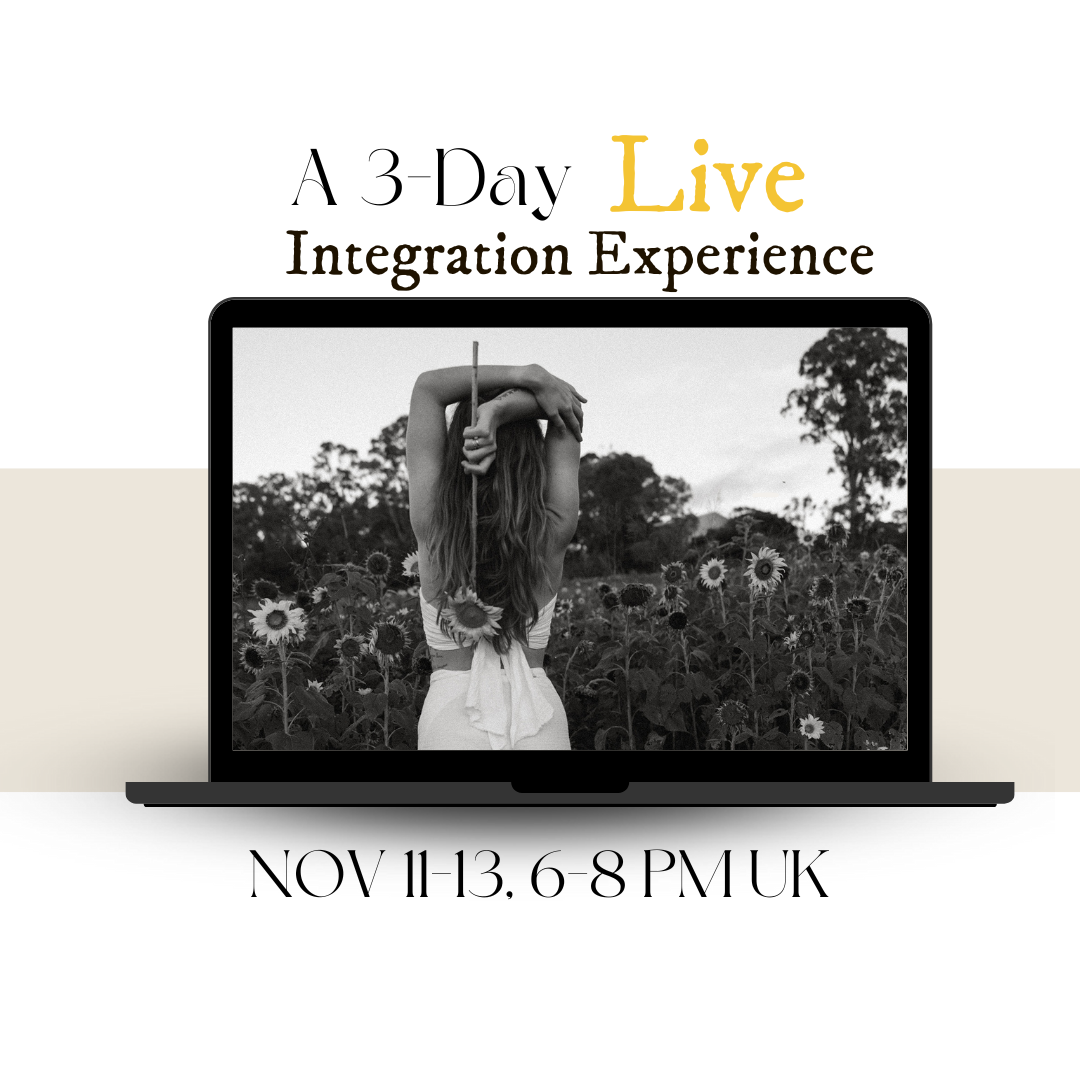 3-Day Integration Experience — The Alex Experience