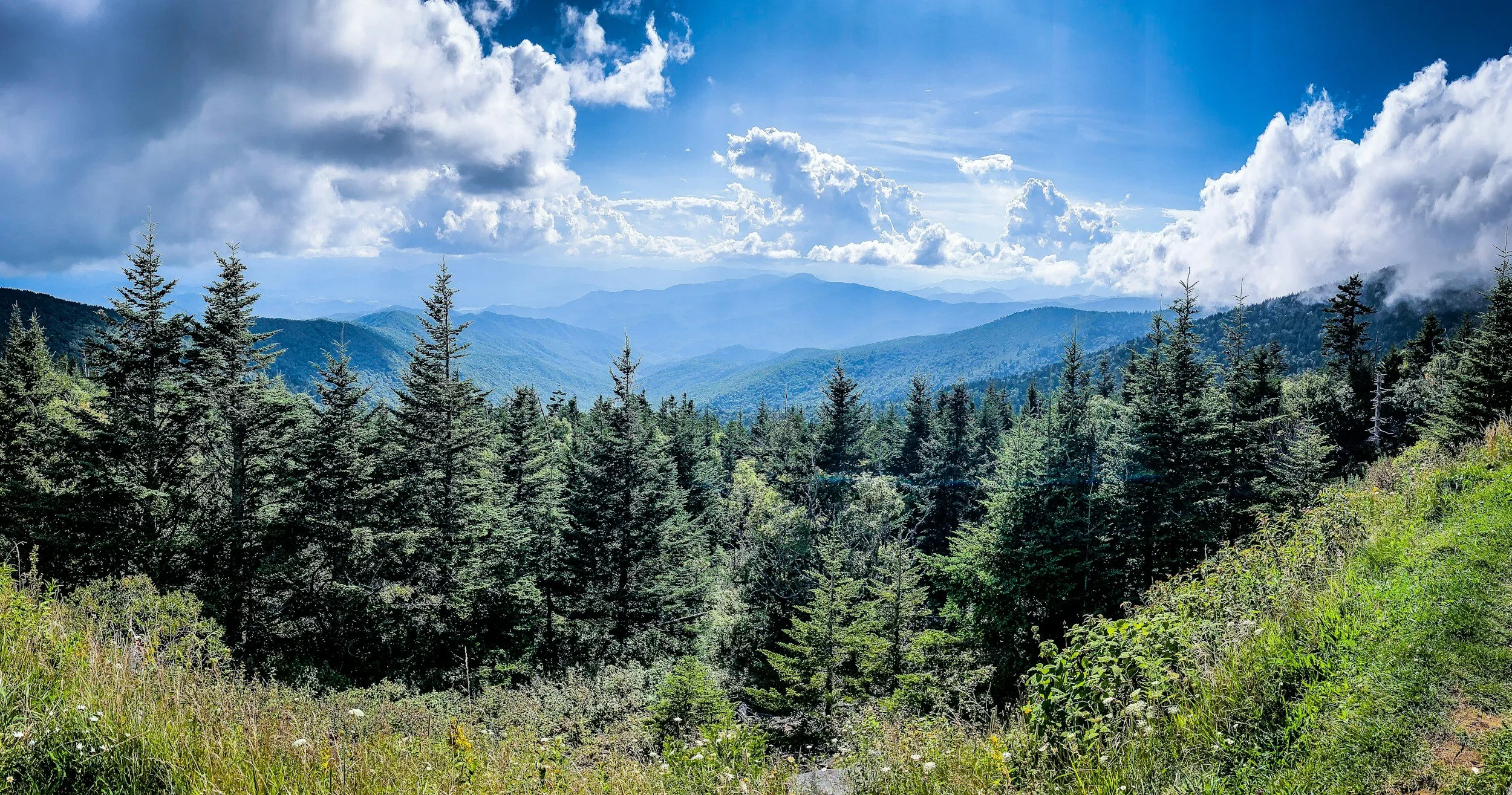 Spring Awakens: 14 Best Destinations to Travel to This Spring ...