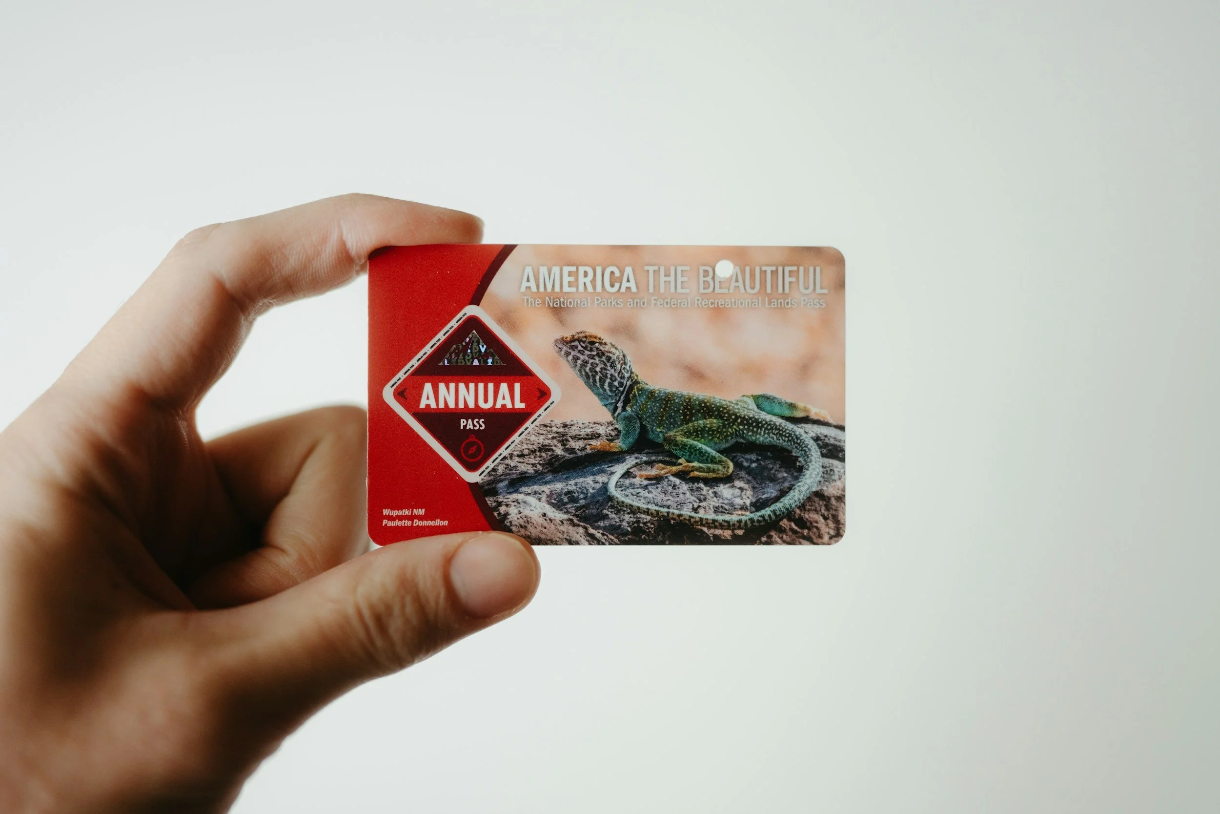 The Ultimate Guide to Visiting U.S. National Parks (No Matter the ...