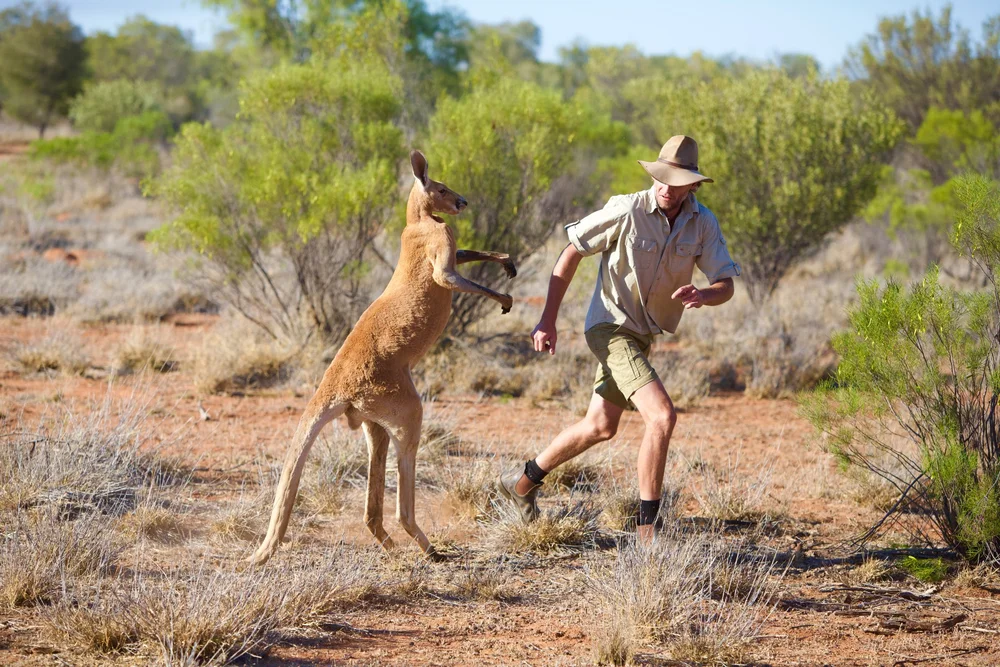 KANGAROO DUNDEE — AGB Films