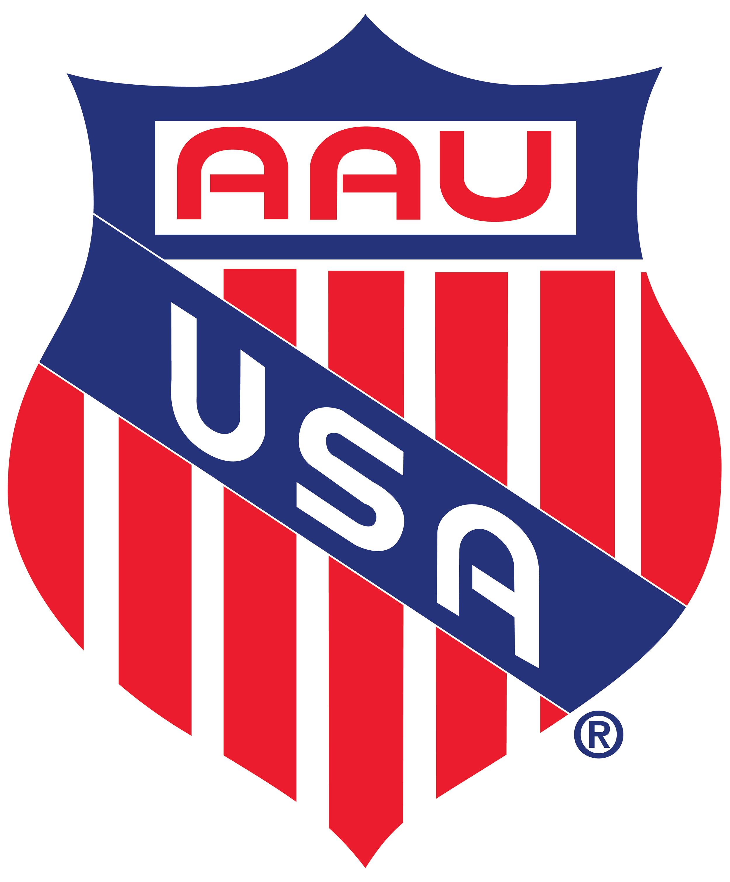 History — AAU Sullivan Award