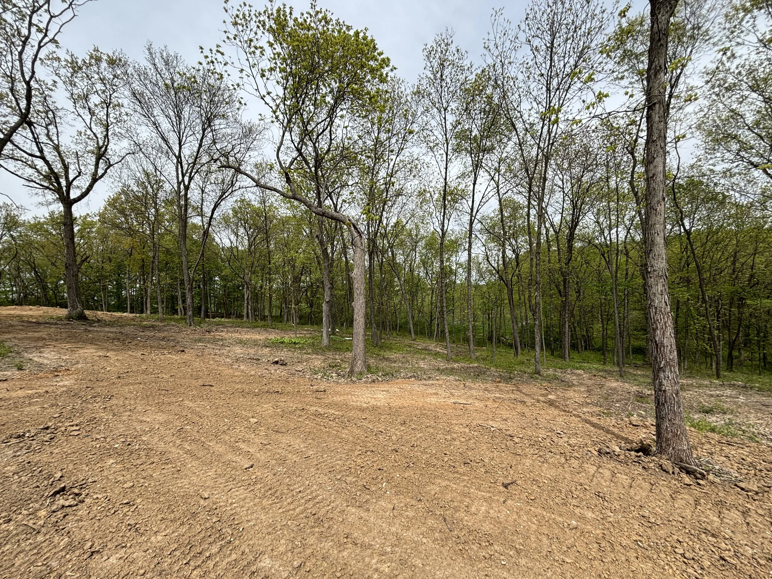 Gallery — Central Park of Eolia