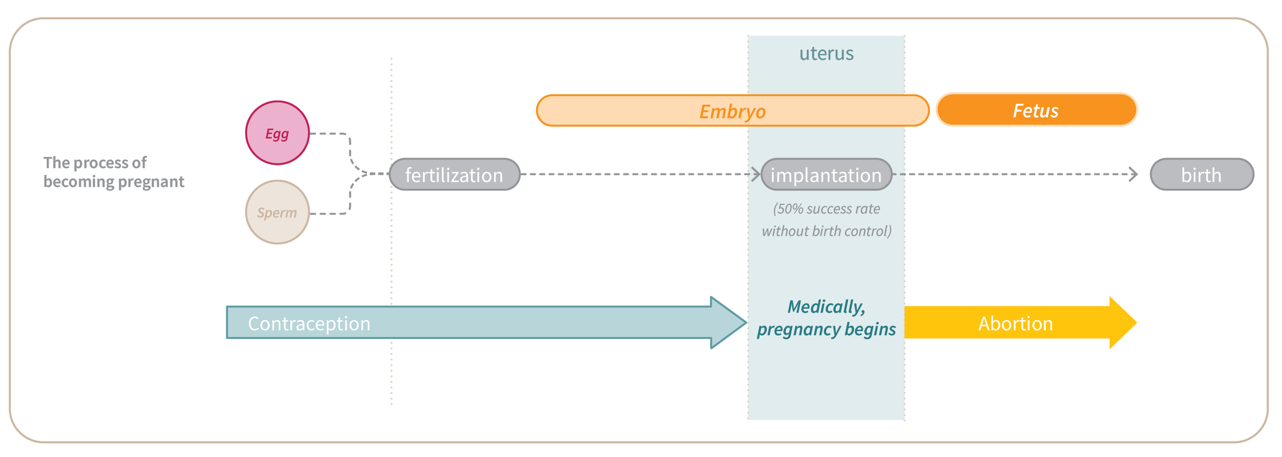 Coverage Guide on Pregnancy, Contraception and IVF