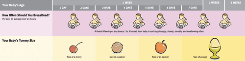 Baby Tummy Size: According to Science — The Happy Baby