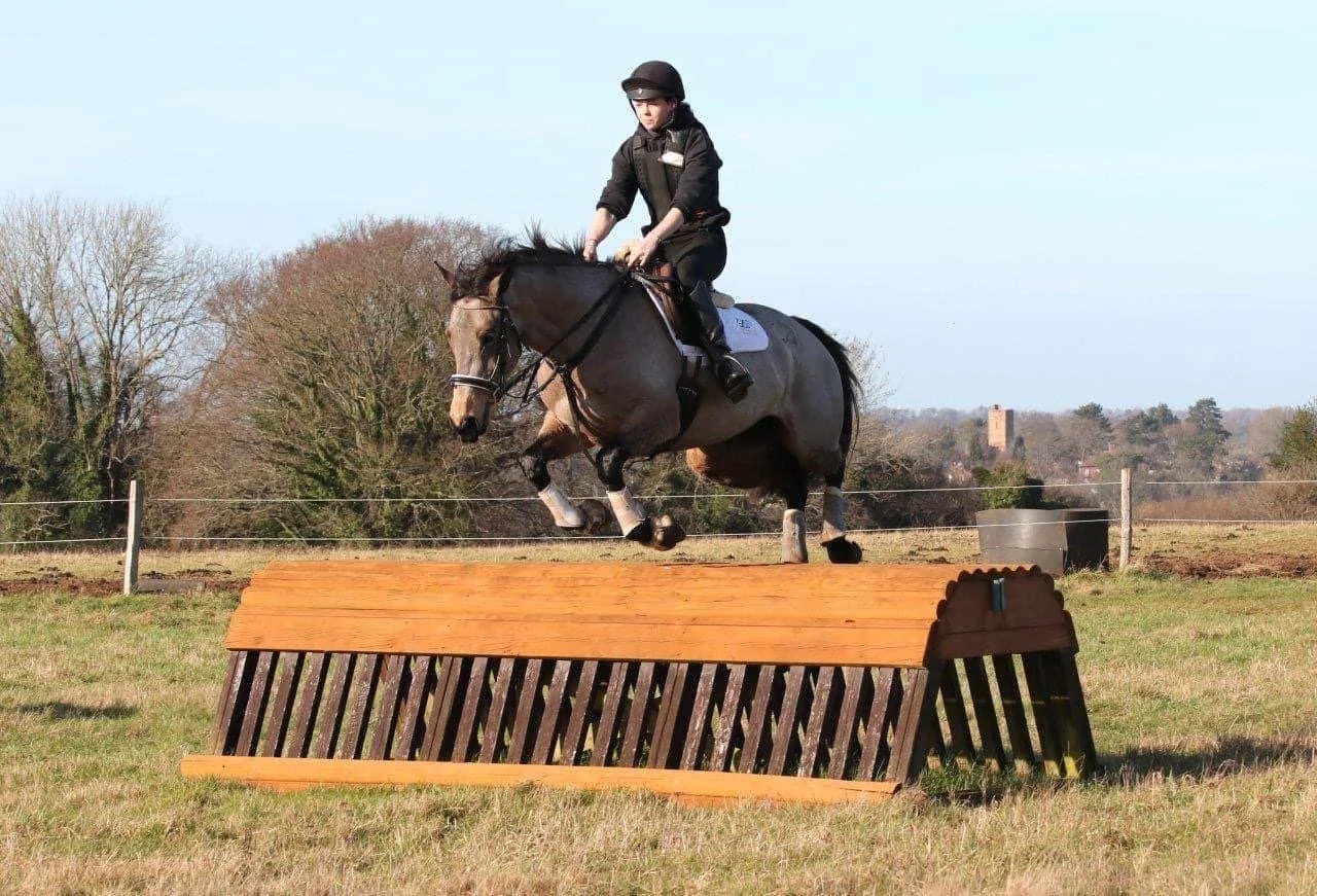 Horses for Sale — Kilnhanger Equine