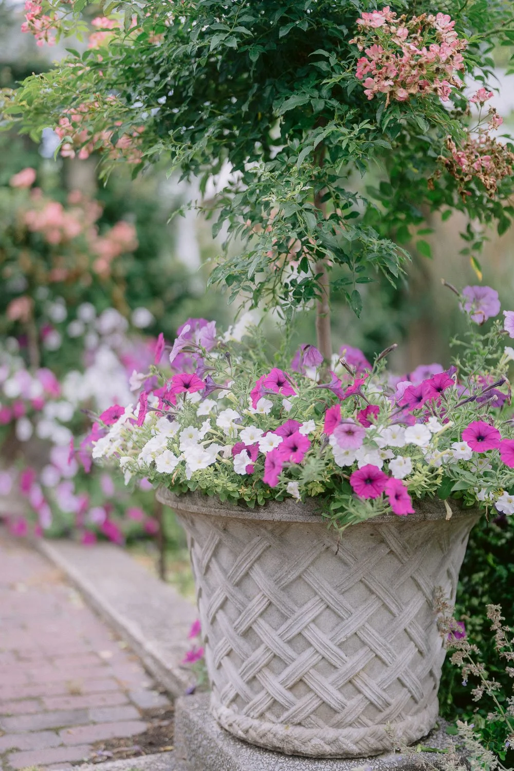 Priya's surprise proposal at Brooklyn Botanical Garden in Brooklyn New ...