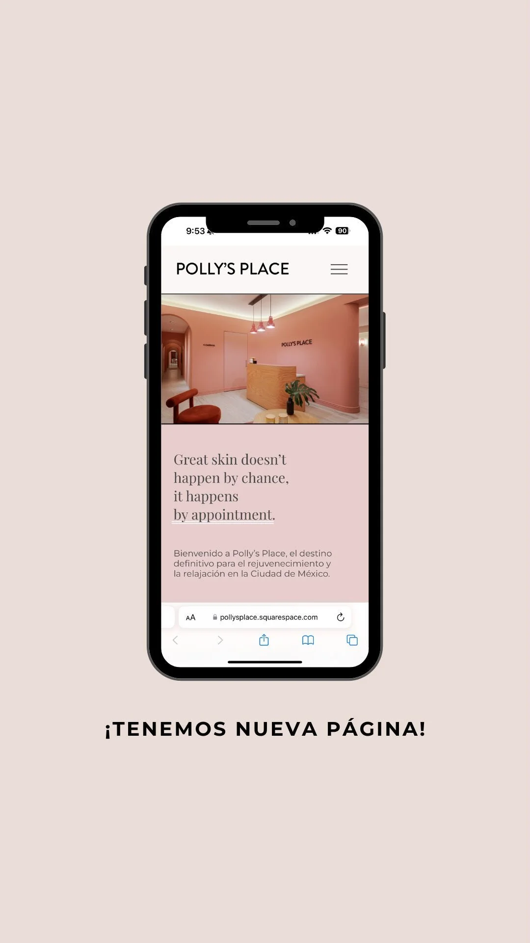 Servicios — Polly's Place