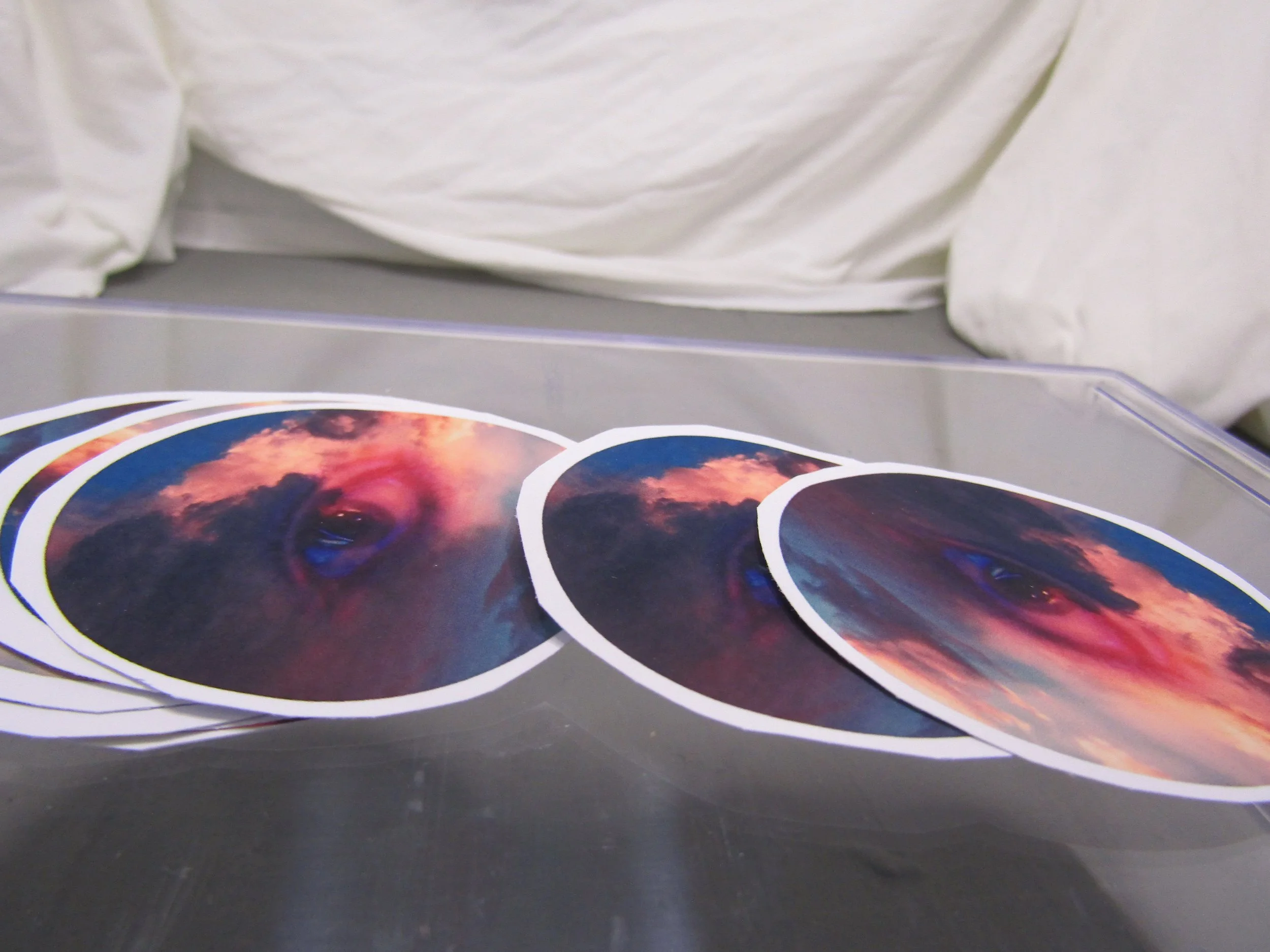 Flying Squirrel Studio