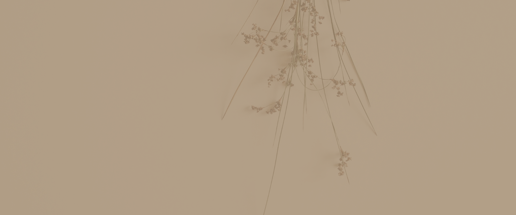 Grandville Medspa | Hudsonville Medical Spa | Luna Aesthetics