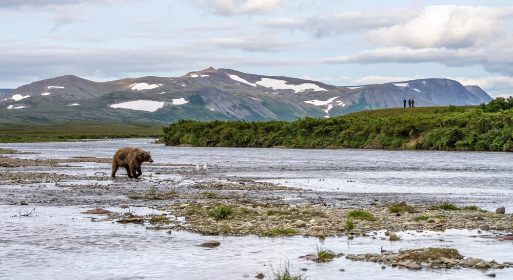 Katmai Conservancy