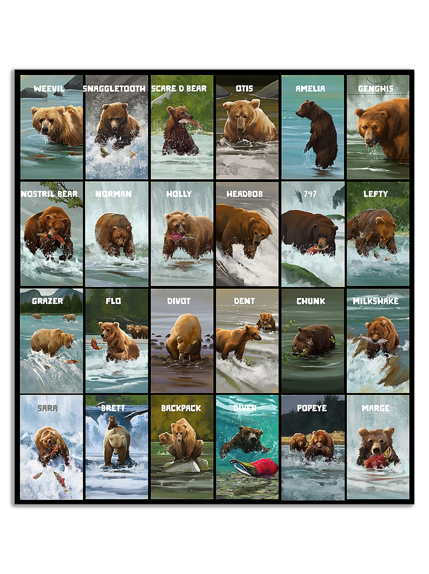Shop — Katmai Conservancy