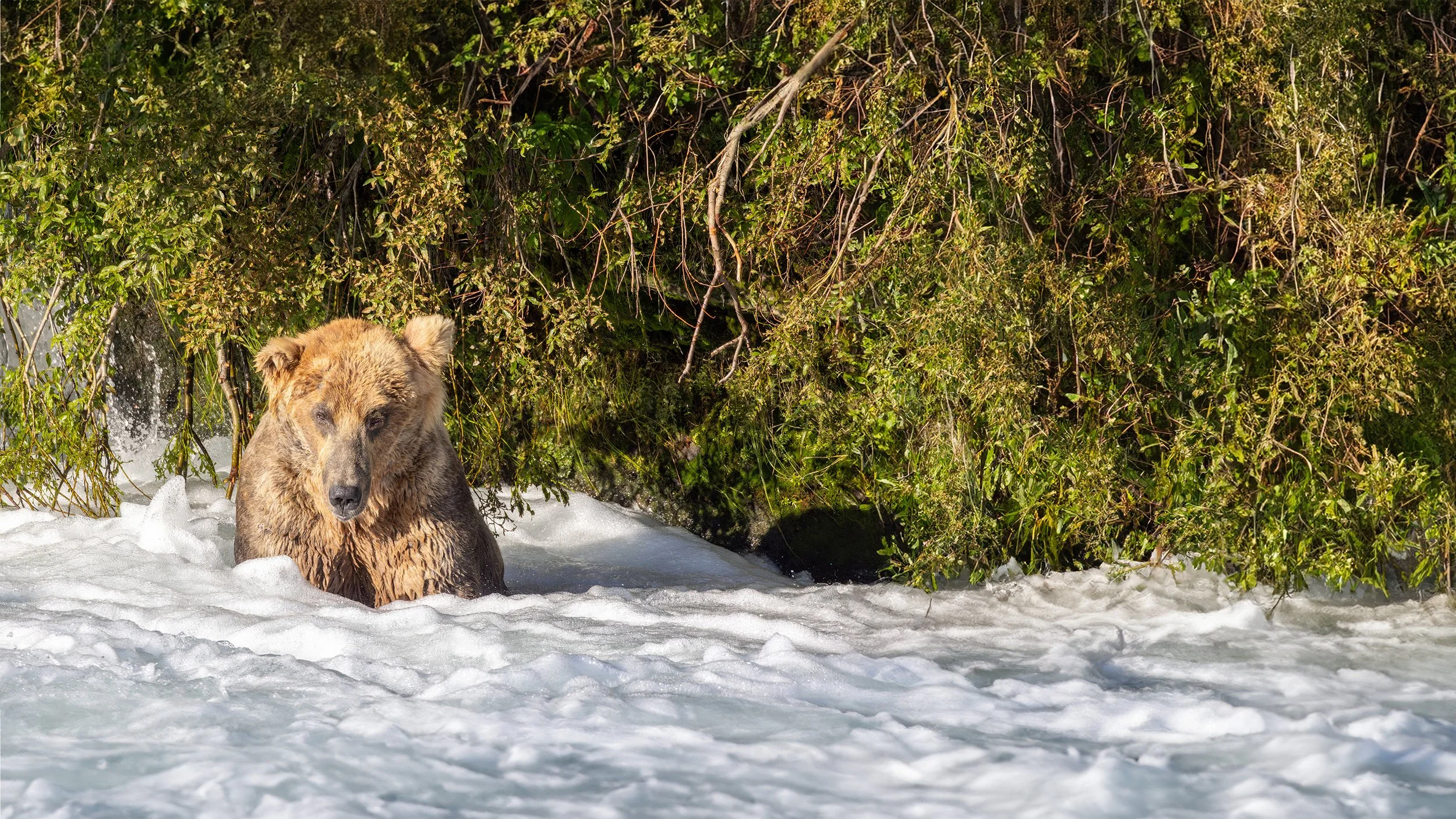 Katmai Conservancy Sales Policies — Katmai Conservancy