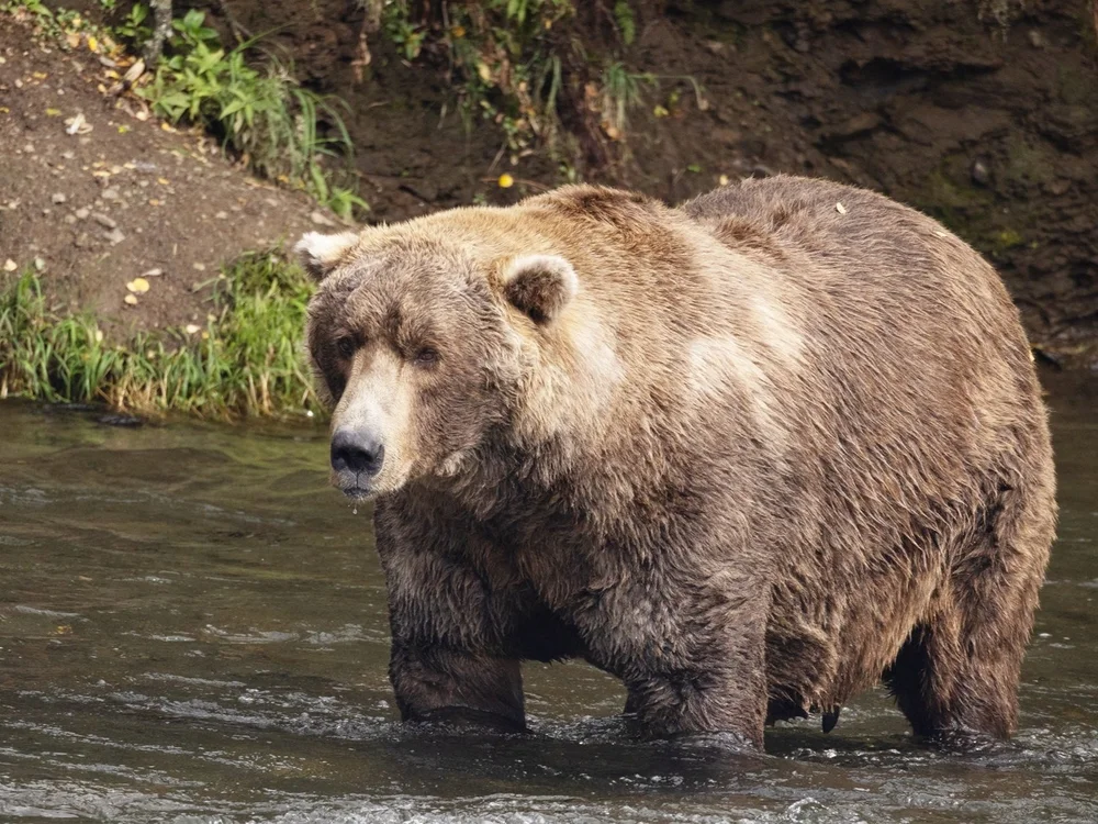 Events — Katmai Conservancy