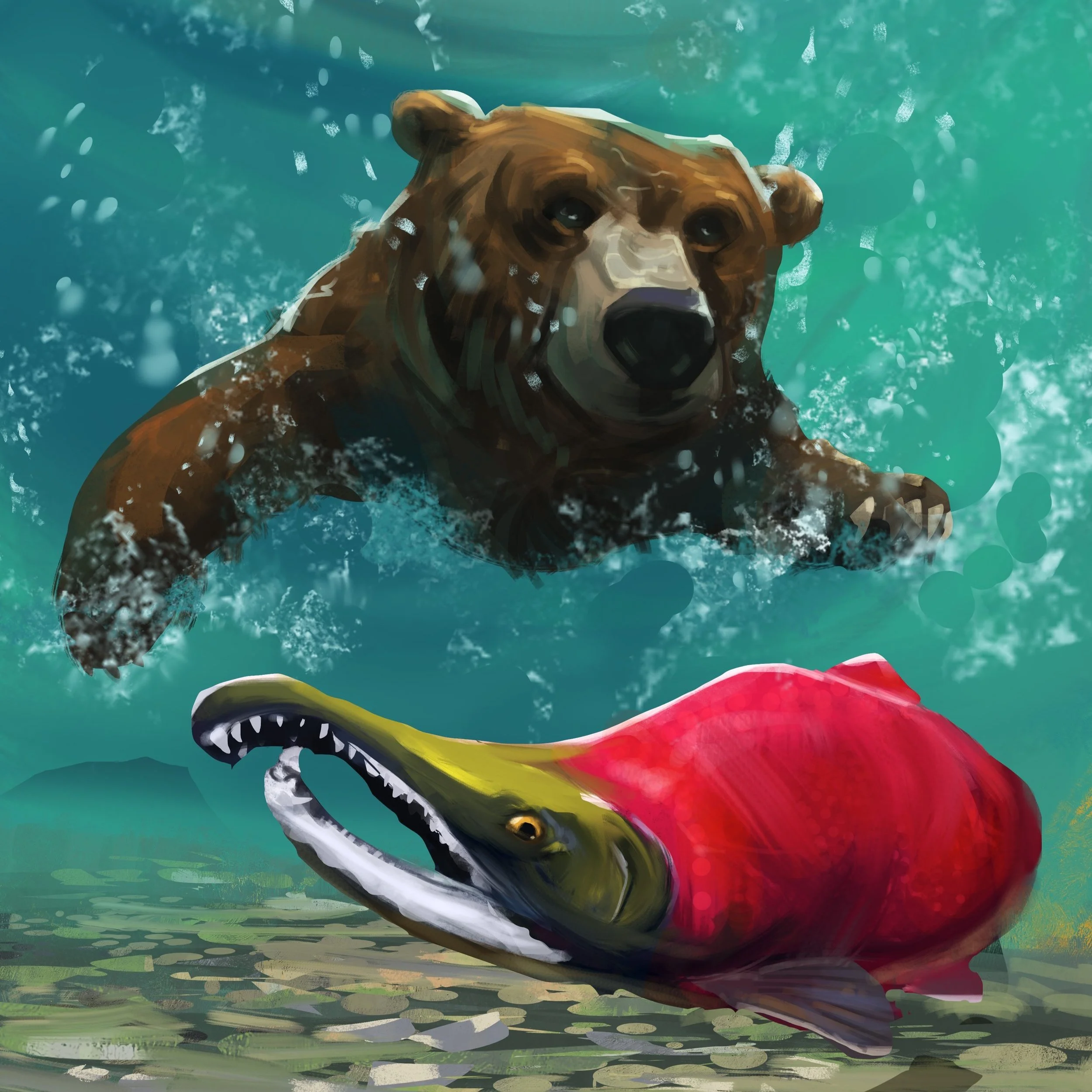 SHOP — Katmai Conservancy