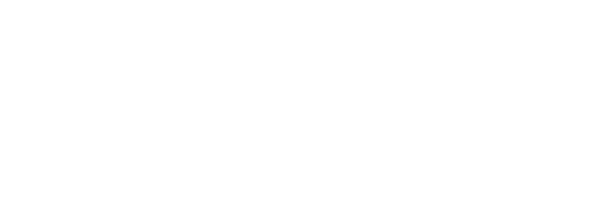 Festival Overview — Bellingham SeaFeast