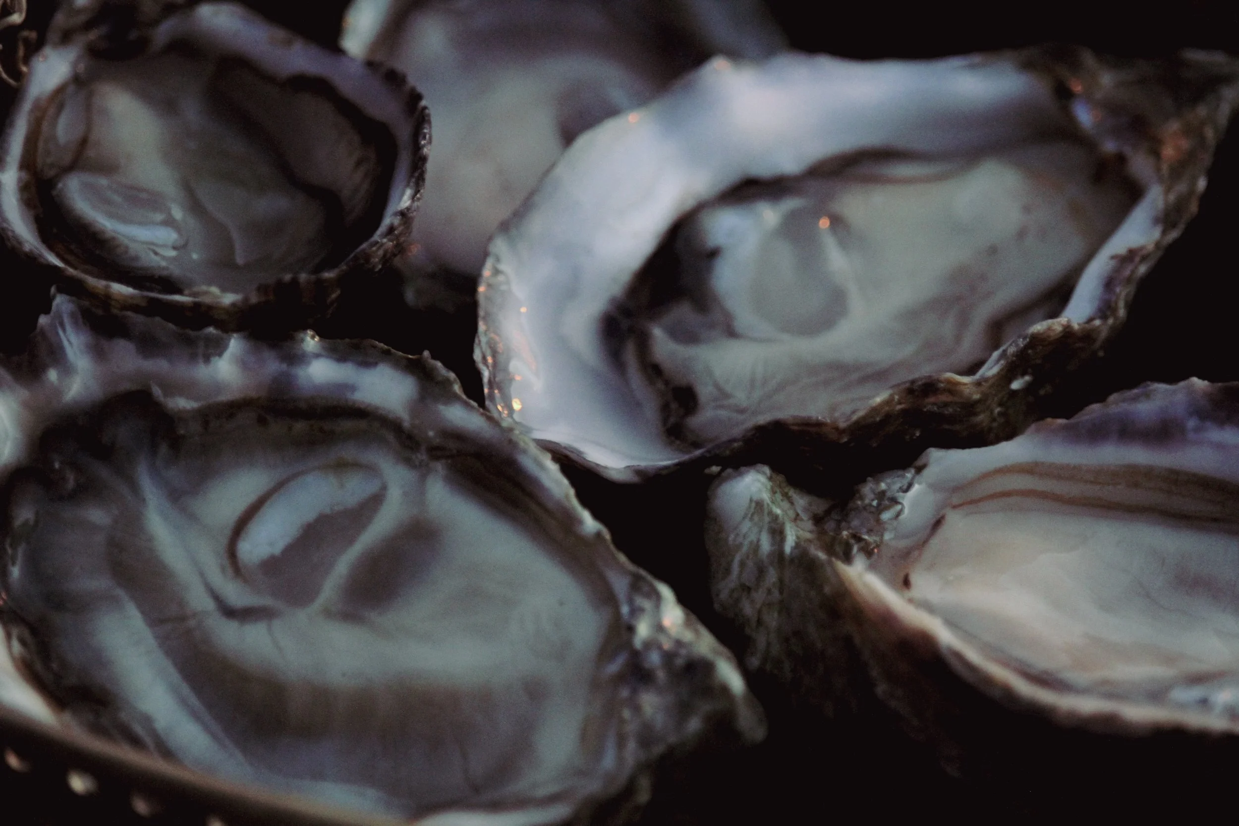 Festival Details Sept 27 & 28 — Bellingham SeaFeast