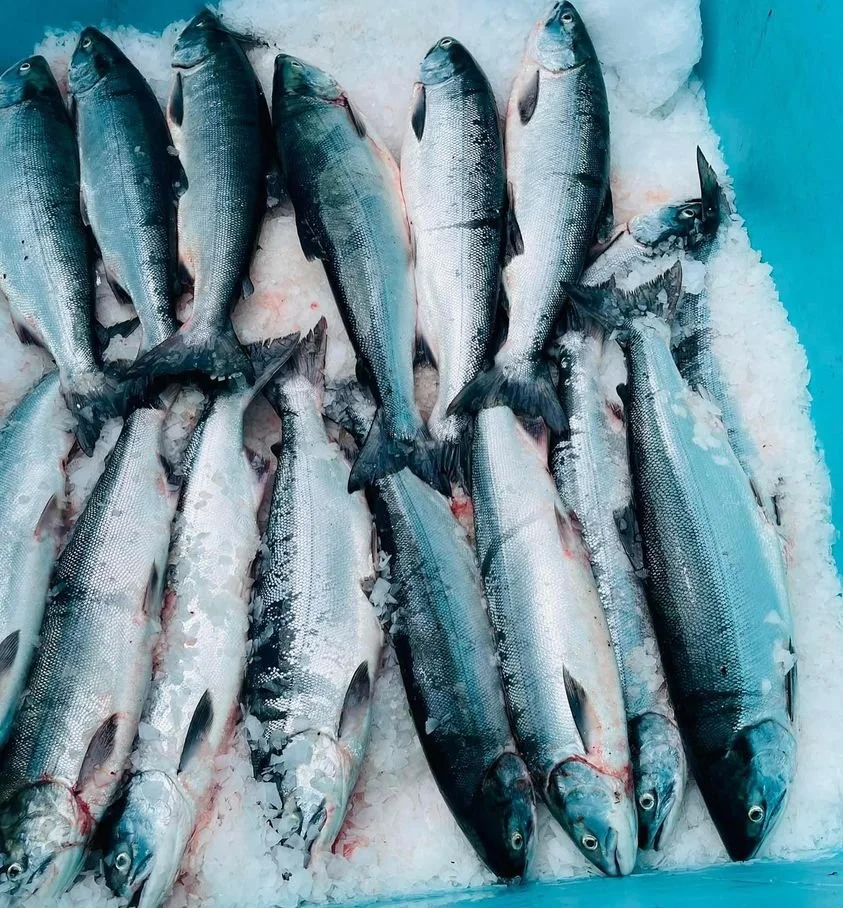 About — Bellingham SeaFeast
