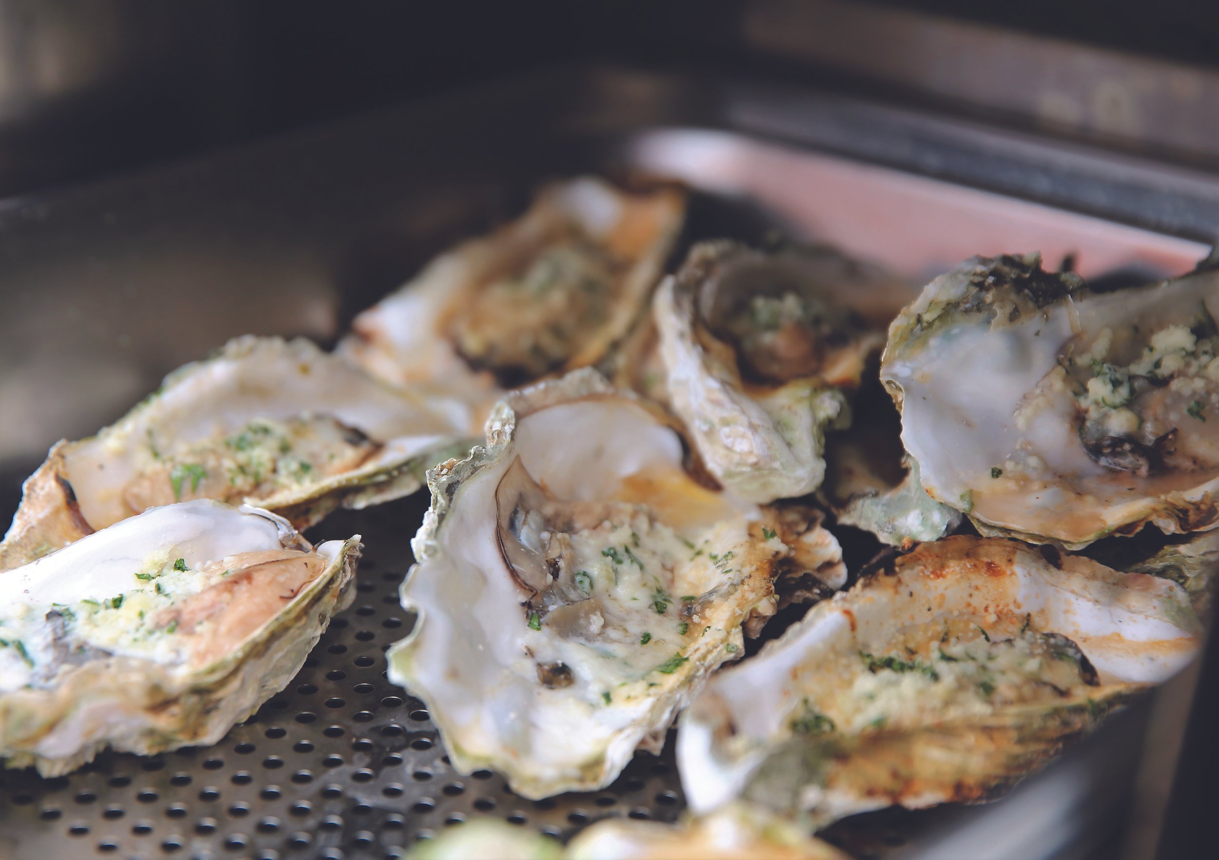 Bellingham SeaFeast