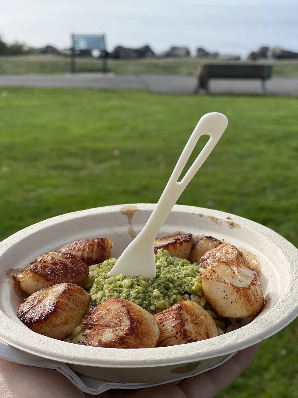 Festival Overview — Bellingham SeaFeast