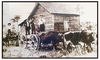 Kempfer Cattle Company | Proven Brahman Genetics for Low-Input Beef ...