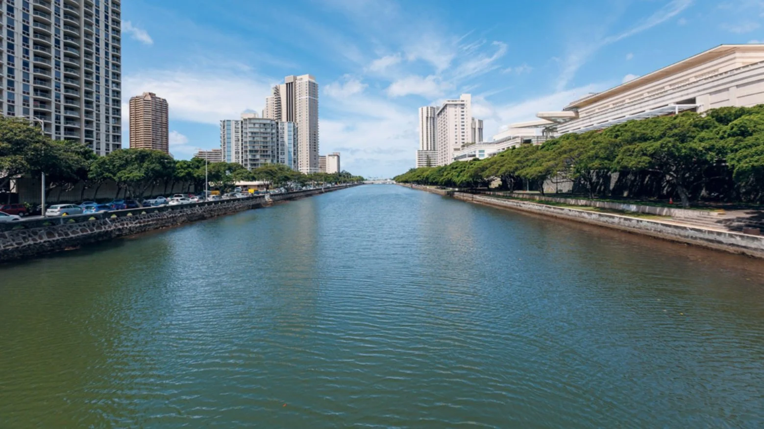 The Genki Ala Wai Project