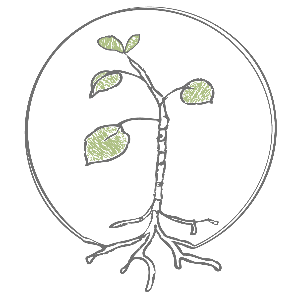 Thrive Collaborative | Seek Sow Share