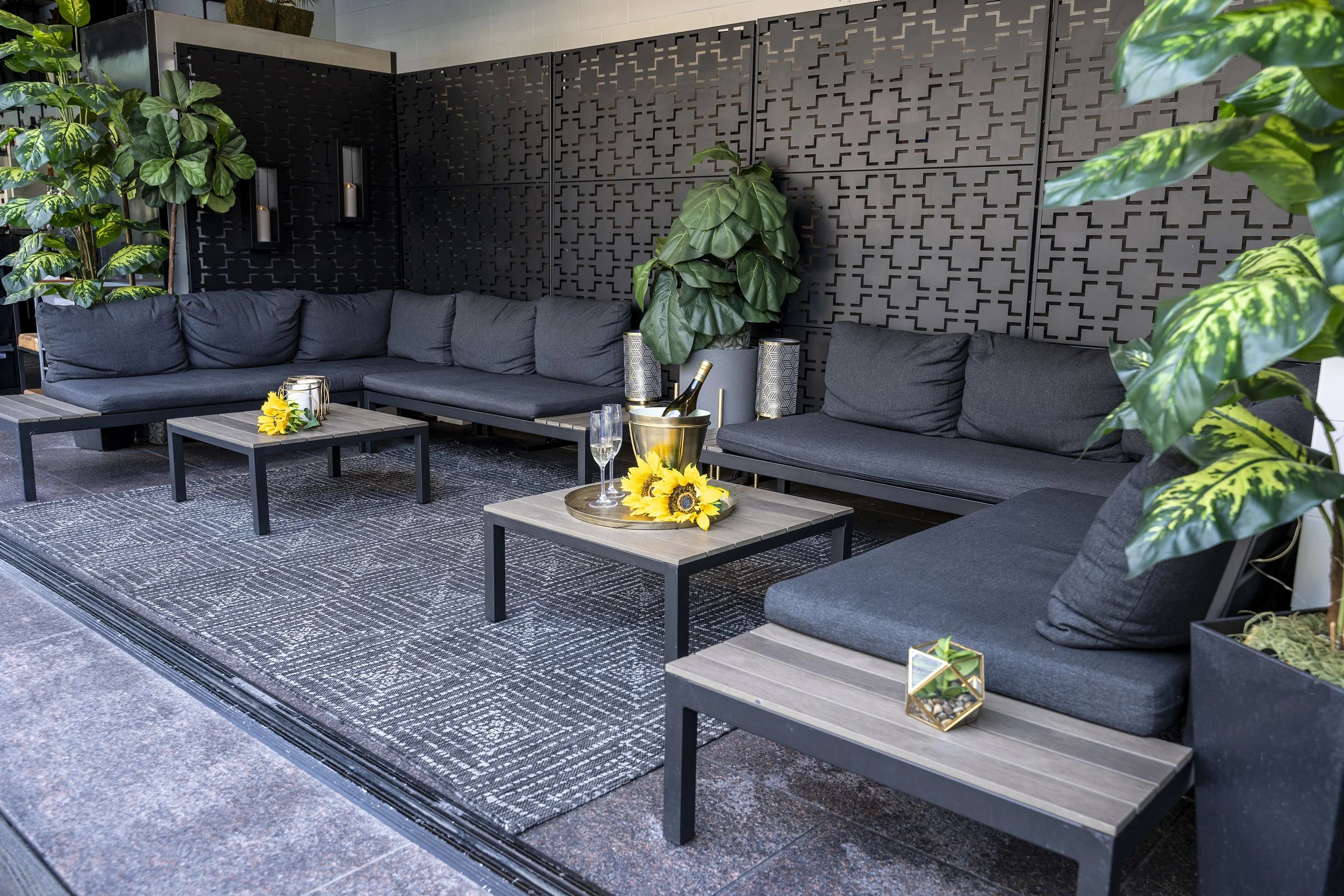 Event Spaces — Tiny Tapp & Tiny Café