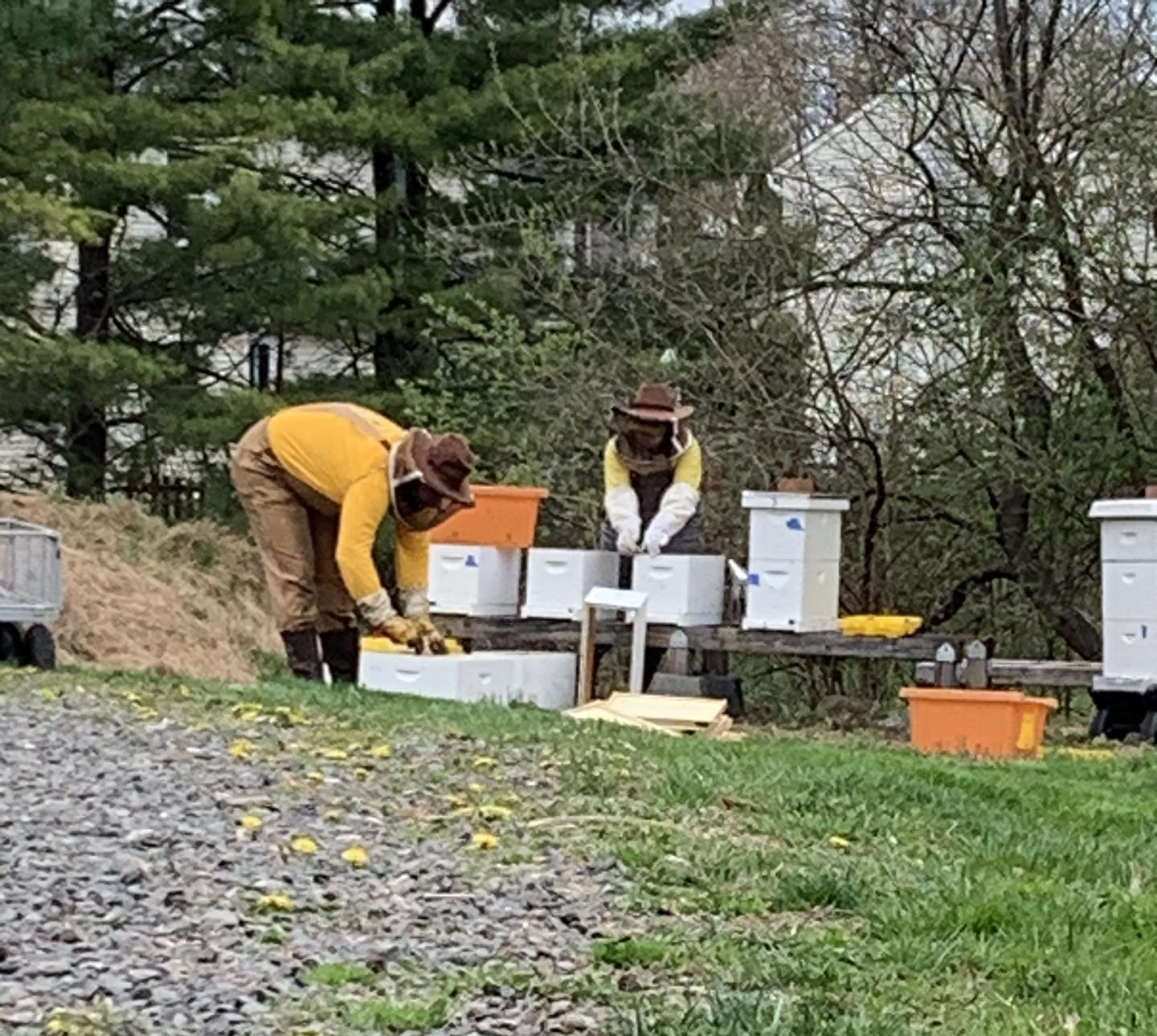 Your Local Beekeepers — 4 Brothers Honey