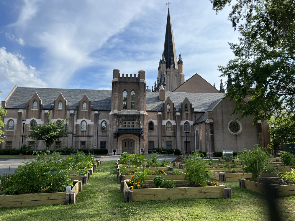 Downtown Norfolk Community Garden