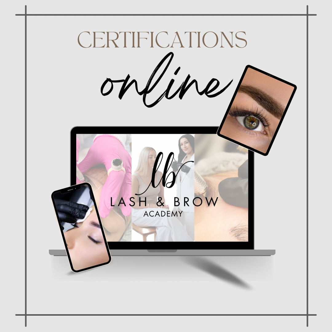 The Lash & Brow Academy