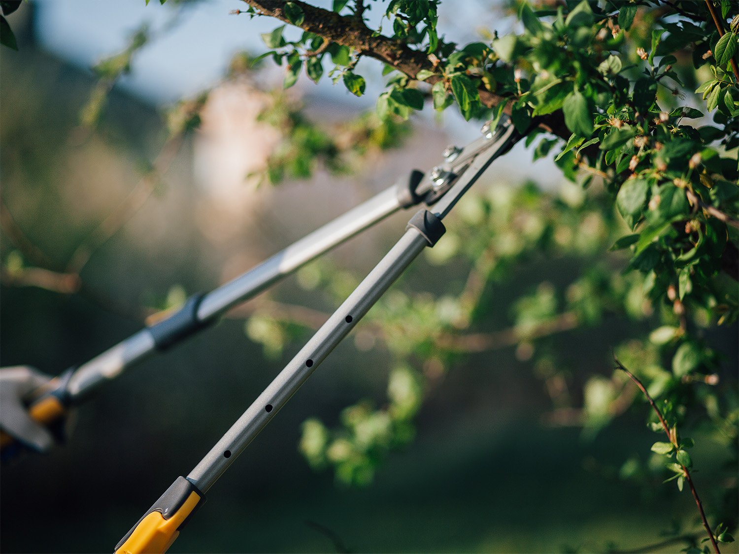 GroundUp Maintenance Solutions | Request a Free Quote