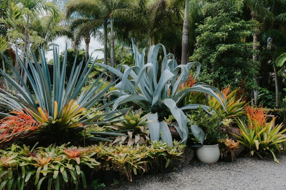 South Maui Gardens - The Hidden Oasis of Kihei