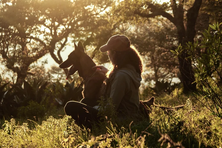 Dog Industry Trends to Watch in 2025 — lavenders writing - copywriting