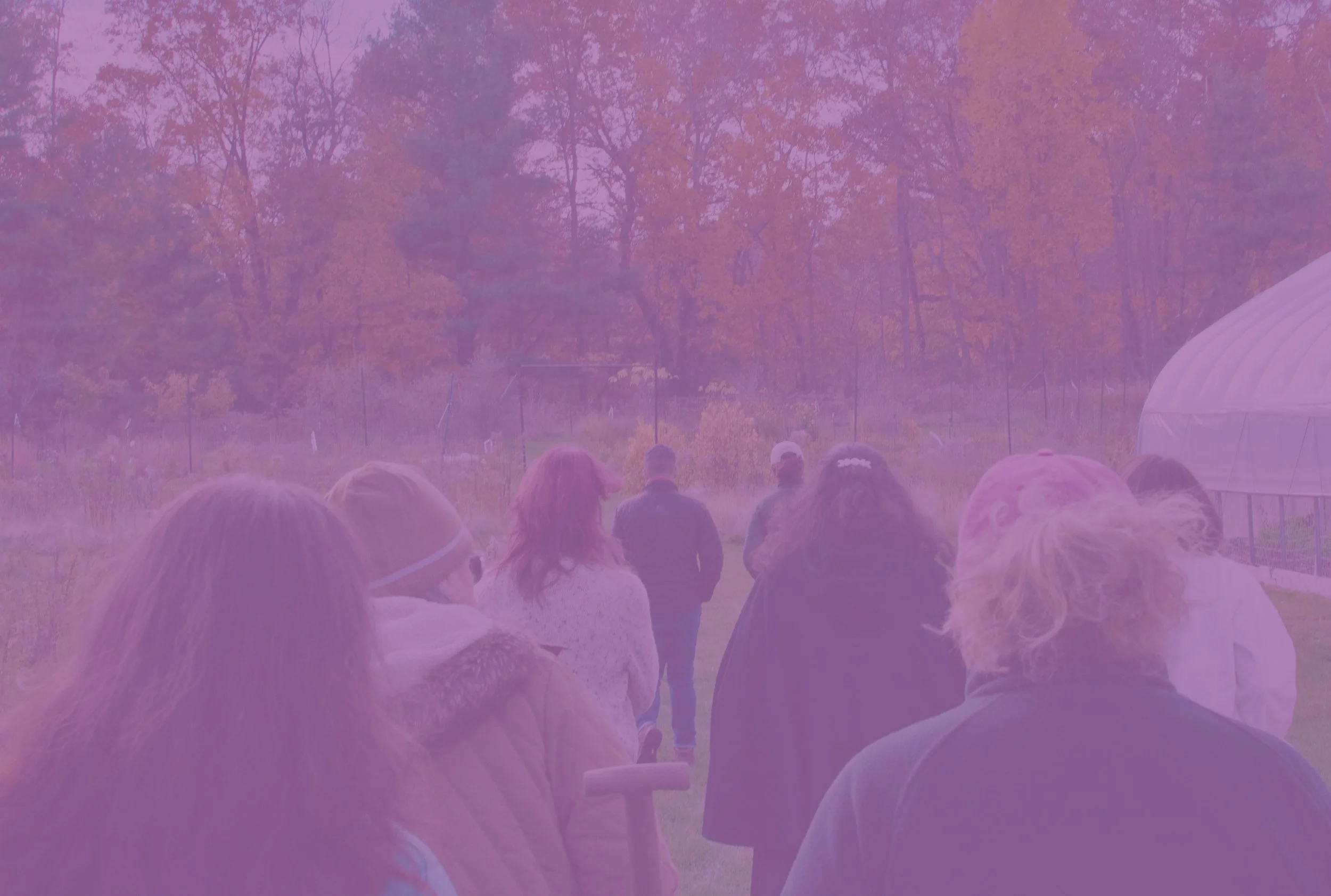 Making Tea for Donation Workshop - 1/23/27 — Boston School of Herbal ...