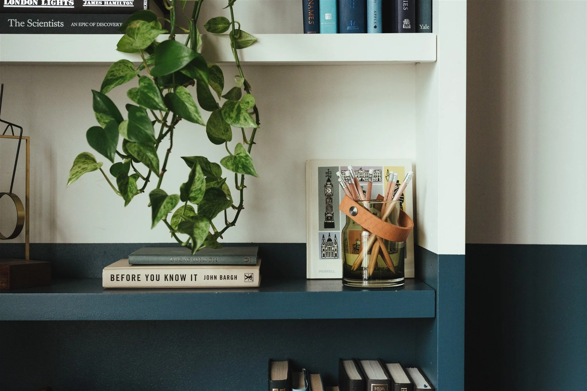 Ditto Creative — Brand strategy, premium visual brand identity design ...